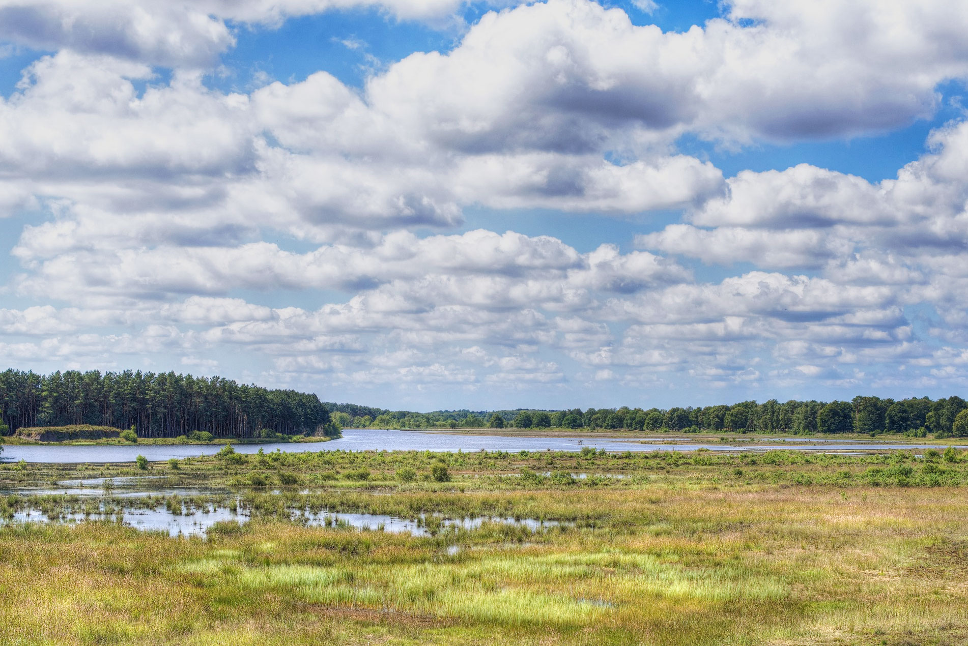 Natuurcollectief Drenthe - Natuurcollectieven Nederland