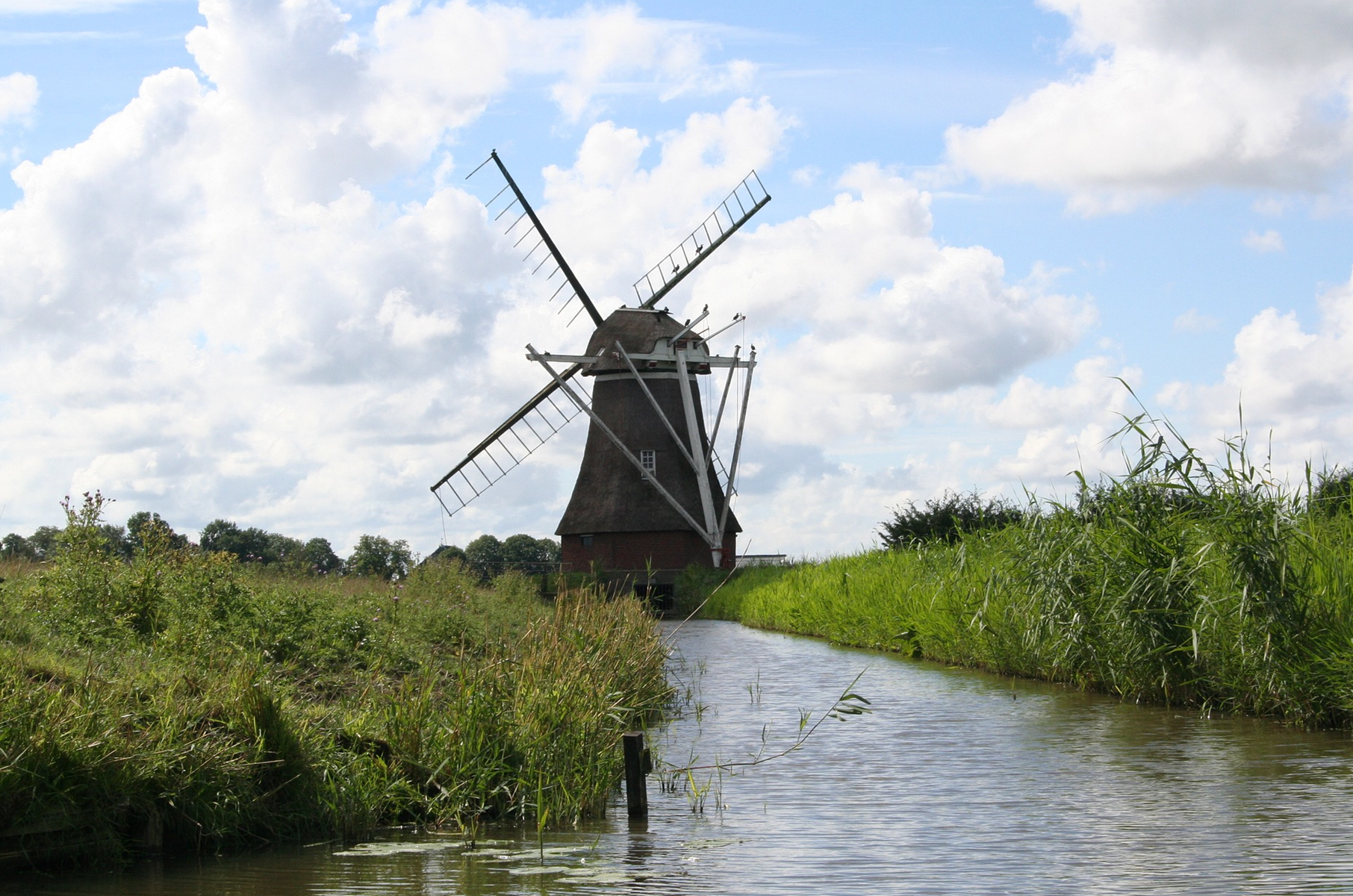 Natuurcollectief Groningen - Natuurcollectieven Nederland